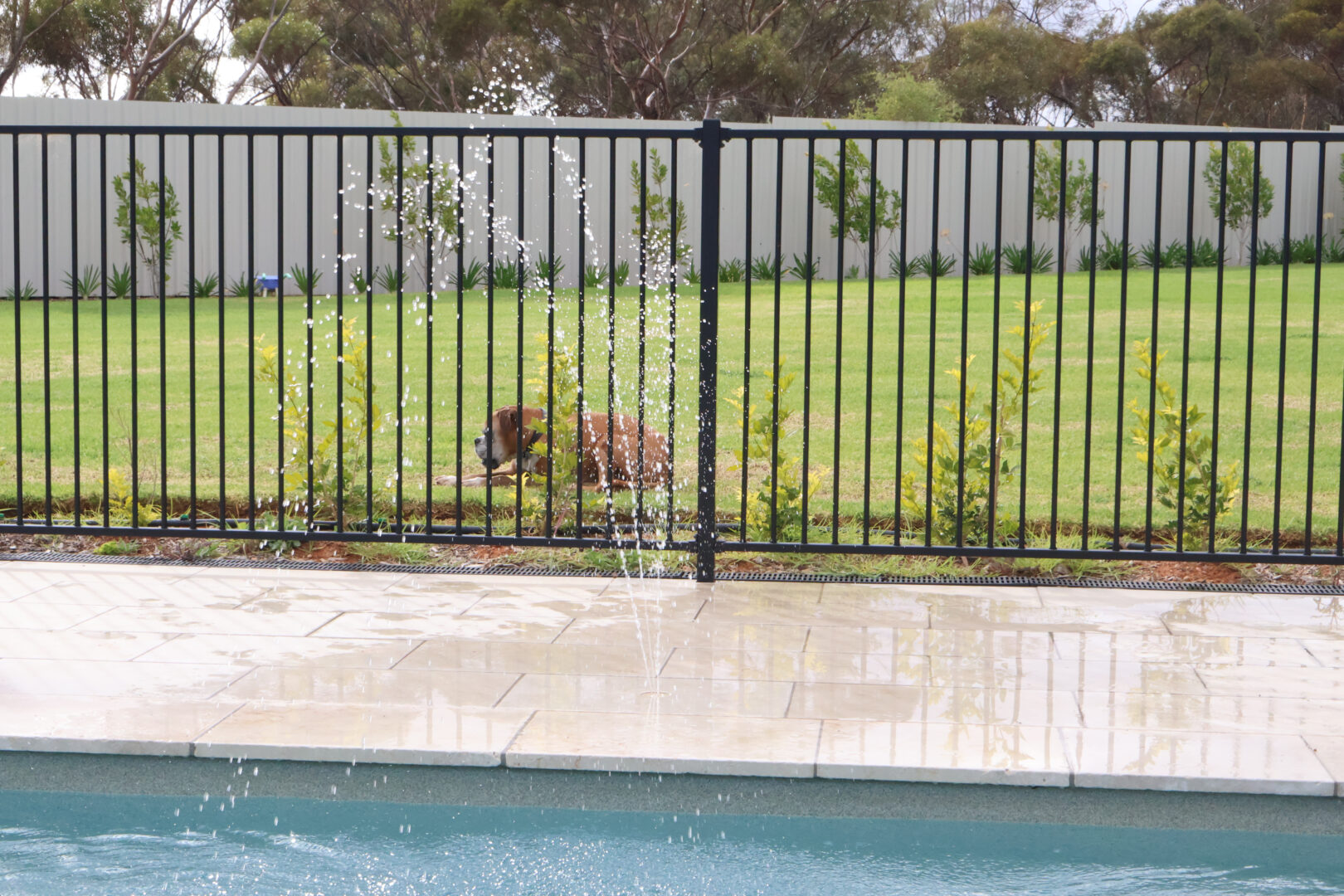 Trio Deck Jet | Cooke Industries Australia